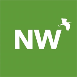 A Loe Pool Film by NatureWatch | Loe Pool Forum