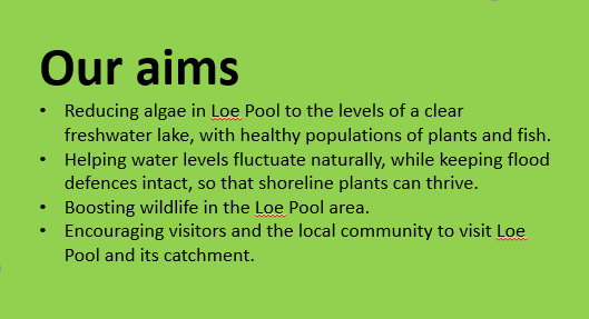 What we do | Loe Pool Forum