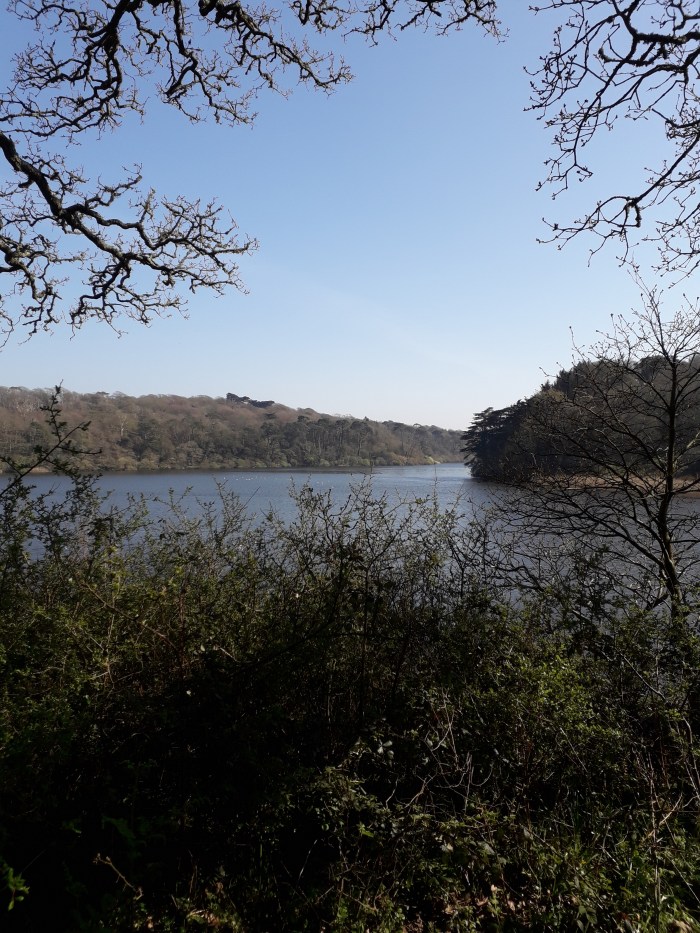 Exploring Loe Pool and the Cober Valley | Loe Pool Forum